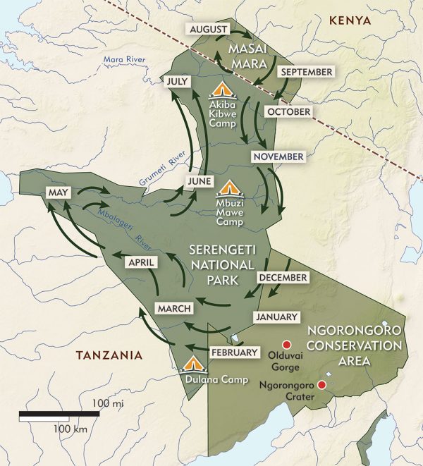 4 Days 3 Nights Safari (Ndutu Area, Ngorongoro Crater) – Africa ...